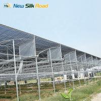 China Hot Galvanized Steel Frame Multi-Span Agricultural Greenhouse 6m-12m Span with 0.6kN Wind Load for Tropical Planting for sale