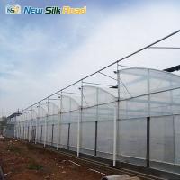 China Sawtooth Multi-Span Agricultural Film Greenhouse 6m-12m Span with 0.6kN Wind Load for Tropical Farming for sale