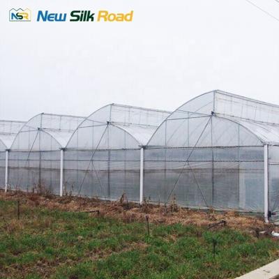China NSR Sawtooth Multi-Span Agricultural Film Greenhouse with 3.5-5.8m Roof Height and 6-12m Span Options for sale