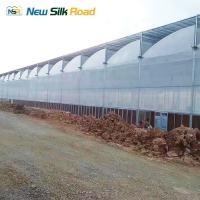 China NSR Sawtooth Multi-Span Agricultural Film Greenhouse 6m-12m Span with 0.6 kn/㎡ Wind Load for sale