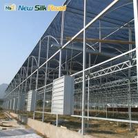 China NSR Sawtooth Multi-Span Agricultural Film Greenhouse 6m-12m Span with 0.6 kn/㎡ Wind Load for sale