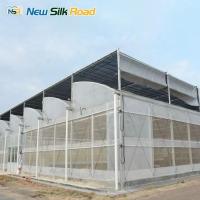 China NSR Sawtooth Multi-Span Agricultural Film Greenhouse 6m-12m Span with 0.6kN/㎡ Wind Load for Coastal Areas for sale