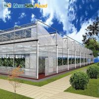 China Sawtooth Multi-Span Agricultural Film Greenhouse 6m-12m Span with 0.6kn/㎡ Wind Load for Hurricane Areas for sale