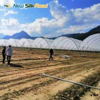 China Tunnel Multi-Span Agricultural Film Greenhouse 6m-12m Span with 0.5 kn/㎡ Wind Load for Blueberry Cultivation for sale