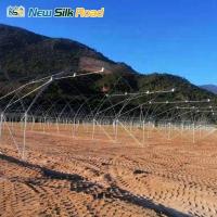 China Tunnel Multi-Span Agricultural Film Greenhouse 6m-12m Span with 0.5 kn/㎡ Wind Load for Blueberry Cultivation for sale