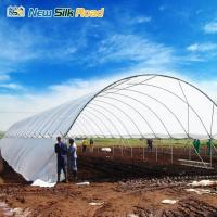 China Tunnel Multi-Span Agricultural Film Greenhouse 6m-12m Span with 140mm/h Rain Capacity for Hydroponic Farming for sale