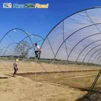 China Tunnel Multi-Span Agricultural Film Greenhouse 6m-12m Span with 140mm/h Rain Capacity for Tropical Crops for sale