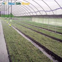 China NSR Multi-Span Agricultural Greenhouse 6-12m Span with 0.5 kn/m2 Wind Load for Hydroponic Strawberries for sale