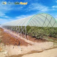 China NSR Multi-Span Agricultural Greenhouse 6-12m Span with 0.5 kn/m2 Wind Load for Hydroponic Strawberries for sale