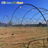 China NSR Multi-Span Agricultural Greenhouse 6-12m Span with 0.5 kn/m2 Wind Load for Hydroponic Strawberries for sale