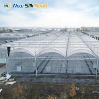 China Hot Dip Galvanized Steel Frame Double Arch Multi-Span Greenhouse 6-12m Span with 0.8kn/㎡ Snow Load for sale
