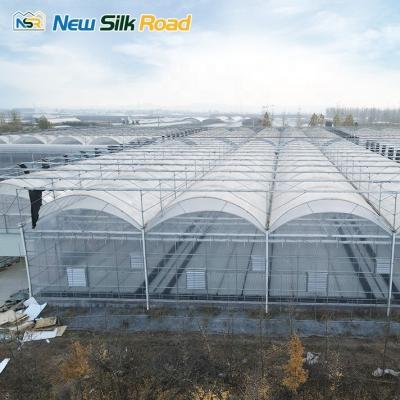 China Hot Dip Galvanized Steel Frame Double Arch Multi-Span Greenhouse 6-12m Span with 0.8kn/㎡ Snow Load for sale