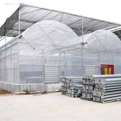 China Double Arch Multi-Span PVC Greenhouse 6m-12m Span with 0.6kN/㎡ Wind Load and 0.8kN/㎡ Snow Load Capacity for sale