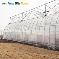 China Korean Style Multi-Span Agricultural Film Greenhouse 6m-12m Span with 0.6kN Wind Load for Uzbekistan Market for sale
