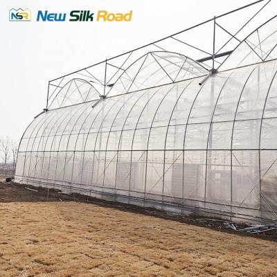 China Korean Style Multi-Span Agricultural Film Greenhouse 6m-12m Span with 0.6kN Wind Load for Uzbekistan Market for sale