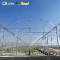 China Korean Style Multi-Span Agricultural Film Greenhouse 6m-12m Span with 0.6kN Wind Load for Uzbekistan Climate for sale