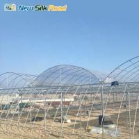 China Korean Style Multi-Span Agricultural Film Greenhouse 6m-12m Span with 0.6kN Wind Load for Uzbekistan Climate for sale