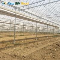 China Korean Style Multi-Span Agricultural Film Greenhouse 6m-12m Span with 0.6kN Wind Load for Uzbekistan Climate for sale