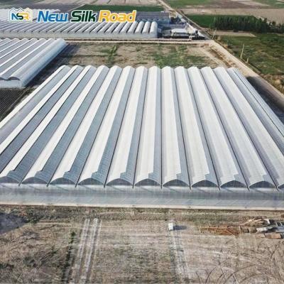 China Korean Style Multi-Span Agricultural Film Greenhouse with 140mm/h Rain Capacity and 0.5kn/㎡ Snow Load for sale