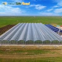 China NSR Tunnel Multi-Span Agricultural Film Greenhouse 6-12m Span with 0.6kN/㎡ Wind Load and Custom Sizing for sale