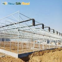 China NSR Tunnel Multi-Span Agricultural Film Greenhouse 6-12m Span with 0.6kN/㎡ Wind Load and Custom Sizing for sale