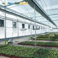 China NSR Tunnel Multi-Span Agricultural Film Greenhouse 6-12m Span with 0.6kN/㎡ Wind Load and Custom Sizing for sale