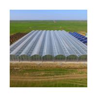 China Commercial Multi-Span Plastic Film Greenhouse 6-12m Width 3-5m Height Hot Galvanized Steel Structure for sale
