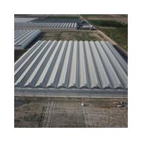 China Commercial Multi-Span Plastic Film Greenhouse 6-12m Width 3-5m Height Hot Galvanized Steel Structure for sale
