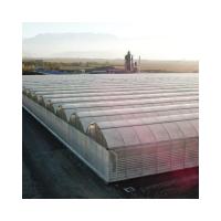 China Commercial Multi-Span Plastic Film Greenhouse 6-12m Width 3-5m Height Hot Galvanized Steel Structure for sale