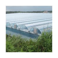 China Commercial Multi-Span Plastic Film Greenhouse 6-12m Width 3-5m Height Hot Galvanized Steel Structure for sale