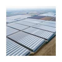 China Commercial Multi-Span Plastic Film Greenhouse 6-12m Width 3-5m Height Hot Galvanized Steel Structure for sale