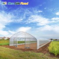 China NSR Single Span Plastic Film Greenhouse 5-12m Span with 20 Year Hot-Dip Galvanized Frame for Hydroponic Farming for sale