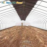 China NSR Single Span Plastic Film Greenhouse 5-12m Span with 20-Year Galvanized Steel Frame and Climate Control Systems for sale