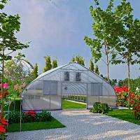 China Hot-Dip Galvanized Steel Single Span Plastic Film Greenhouse 5-12m Span with 20-Year Lifespan for sale