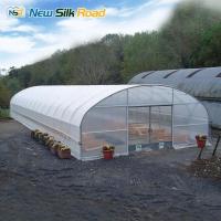 China Single Span Plastic Film Greenhouse 5-12m Span with Hot-Dip Galvanized Steel Frame for Vegetable Planting for sale
