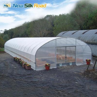 China Single Span Plastic Film Greenhouse 5-12m Span with Hot-Dip Galvanized Steel Frame for Vegetable Planting for sale