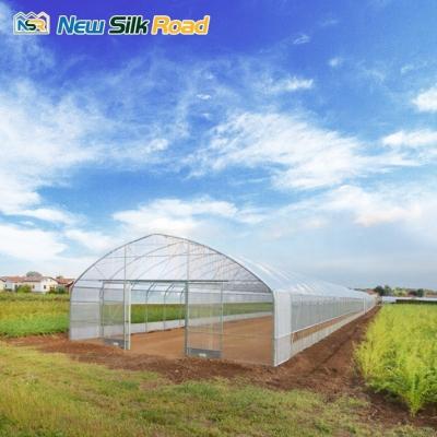 China Single Span PE Plastic Film Greenhouse 5-12m Span with 20-Year Galvanized Steel Frame for Agricultural Planting for sale