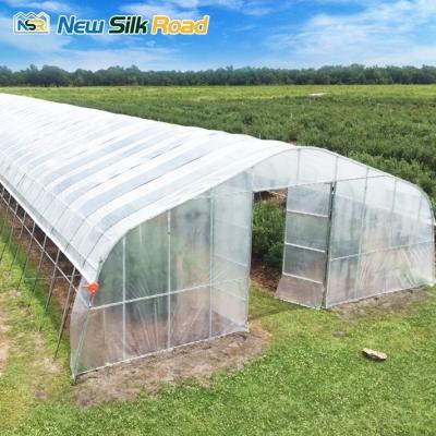 China NSR Single Span Plastic Film Greenhouse 8-12m Span with Hot-Dip Galvanized Steel Frame for 20+ Year Lifespan for sale