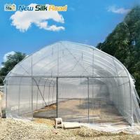 China Single Span Plastic Film Greenhouse 5-12m Width with Hot-Dip Galvanized Steel Frame and 20-Year Lifespan for sale