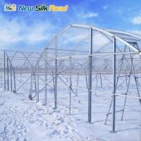 China Single Span Plastic Film Greenhouse 5-12m Span with Galvanized Steel Frame and PO/PE Cover for Tomato Farming for sale