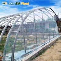China Single Span Plastic Film Greenhouse 5-12m Span with Galvanized Steel Frame and PO/PE Cover for Tomato Farming for sale