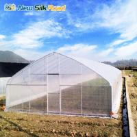 China Single Span Plastic Film Greenhouse 5-12m Span with Galvanized Steel Frame and PO/PE Cover for Tomato Farming for sale