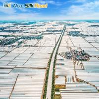 China Single Span Plastic Film Greenhouse 5-12m Span with Galvanized Steel Frame and PO/PE Cover for Tomato Farming for sale