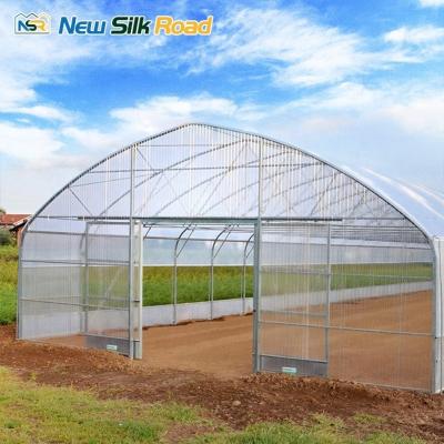 China Single Span Plastic Film Greenhouse 5-12m Span with 20-100m Length Options - Hot-Dip Galvanized Steel Frame for sale