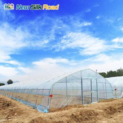 China NSR Single Span Plastic Film Greenhouse 5-12m Width with 20-100m Length and Hot-Dip Galvanized Steel Frame for sale