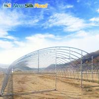 China NSR Single Span Plastic Film Greenhouse 5-12m Span with 20-Year Galvanized Steel Frame and Climate Control Systems for sale