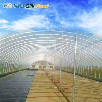 China NSR Single Span Plastic Film Greenhouse 5-12m Span with 20-Year Galvanized Steel Frame and Climate Control Systems for sale