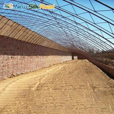 China Customizable Single Span Double-Layer Plastic Film Greenhouse with 5-12m Span and 20-Year Galvanized Steel Frame for sale