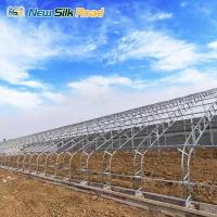 China Customizable Single Span Double-Layer Plastic Film Greenhouse with 5-12m Span and 20-Year Galvanized Steel Frame for sale