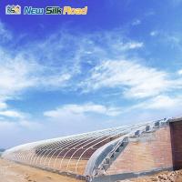 China Single Span Plastic Film Greenhouse 5-12m Width with Hot-Dip Galvanized Steel Frame for Vegetable Farming for sale
